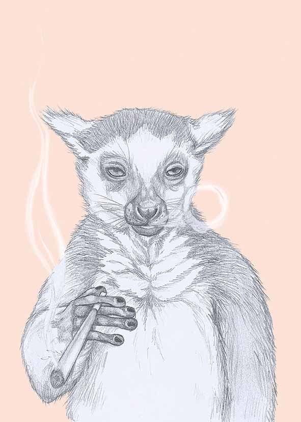 Stoned Lemur illustrated art print A4 by Amsterdam artist I AM NIEN